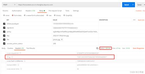 阿里云 Oss 客户端直传 Policy 模式使用oss Policy Csdn博客