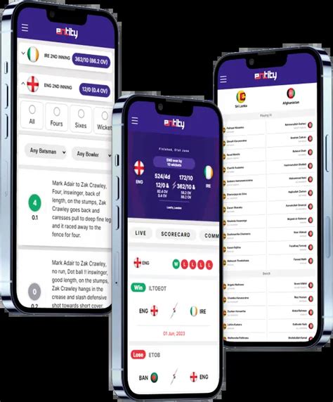 How To Implement Entity Sport S Cricket API For Media Outlets And Apps
