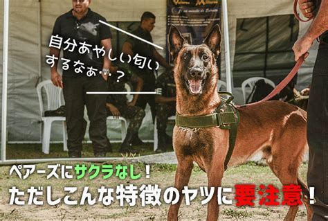 【画像あり】ペアーズにサクラだらけは嘘！でもこんな特徴のlineに気をつけろ！ マッチングアプリのヒカリ