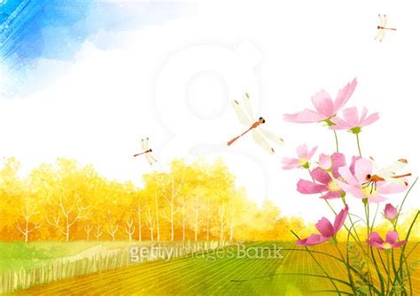 autumn illust 이미지 a9980908 게티이미지뱅크