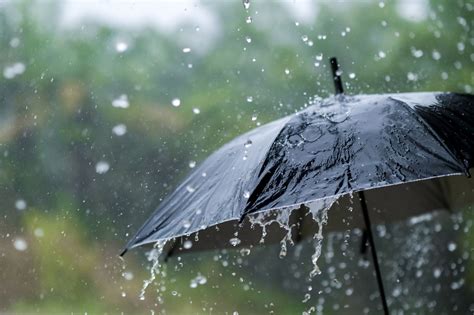 Rain ರಾಜ್ಯದ 4 ಜಿಲ್ಲೆಗಳಲ್ಲಿ ಭಾರೀ ಮಳೆ ಹವಾಮಾನ ಇಲಾಖೆ ವರದಿ Meteorological