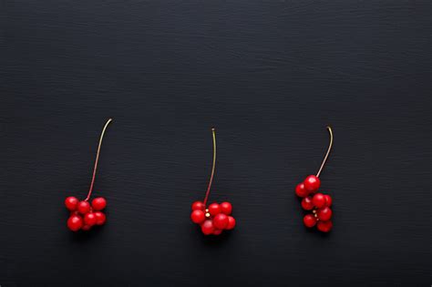 쉬산드라 치넨시스 또는 5가지 맛의 베리 검은 배경에 신선한 빨간 잘 익은 열매 맨 위 보기 공간을 복사합니다 음식 배경입니다