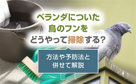 ベランダについた鳥のフンをどうやって掃除する方法や予防法と併せて解説宇都宮市のファミリー向け賃貸株式会社三和住宅 宇都宮平松本町店