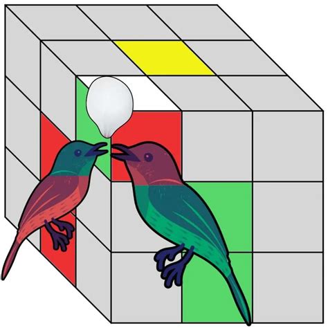 How To Solve The Rubiks Cube In 8 Easy Steps Using Bunnies