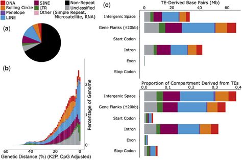 Tes Within The Genome Assembly Of I Podalirius A The Proportion Of
