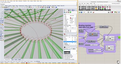 lofting back 2 curves made from split tree data grasshopper