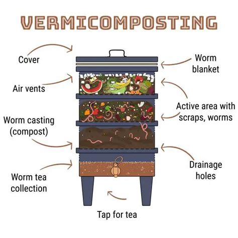 Worm Composting How Stuff Works At Jonathan Dittmer Blog