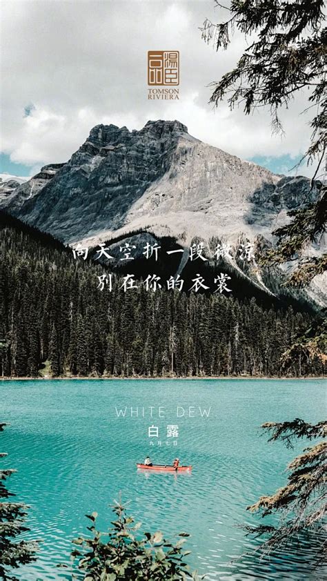 汤臣一品 白露