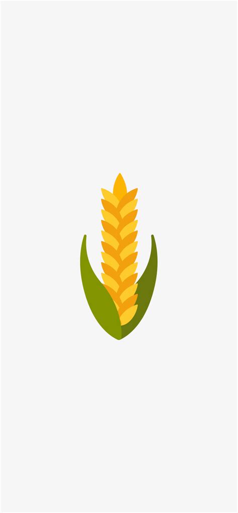 Png Png Kuaipng