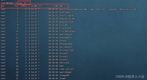 Linux常见实用操作汇总带示例版 linux实际操作案例 CSDN博客