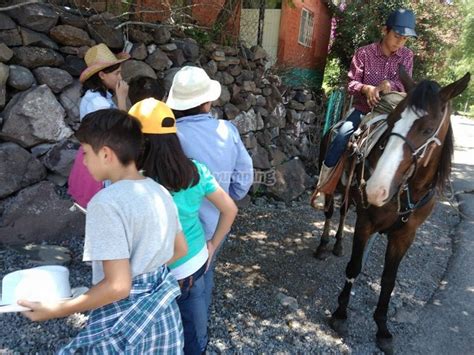 Paseo En Burro Por Barranca De La Cazuela Niños Desde 847 Yumping