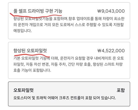 블라인드 자동차 테슬라 모델y 주니퍼 오토파일럿