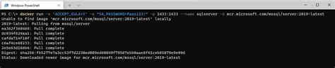 NET Executando Consultas Do SQL Server No Docker
