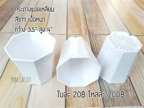 🔔🔔สินค้าเ Pon Cactus ดินและวัสดุปลูกแคคตัส ฮาโวเทีย ไลทอป