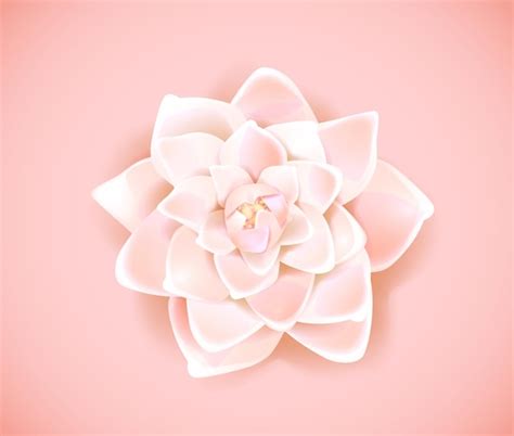 Premium Vector Blossoming Pink Flower Isolated In Background Spring