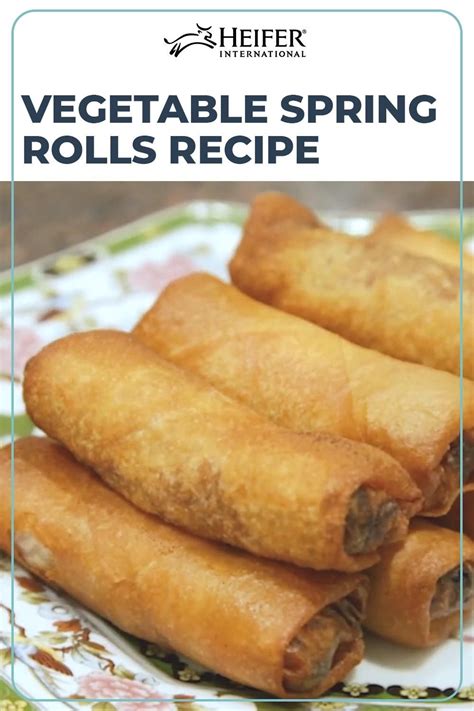Vegetable Spring Rolls Recipe Artofit