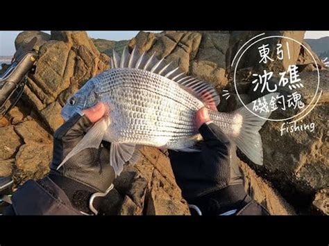 磯釣東引釣遊D1西沙沈礁初體驗2023 01 29 YouTube