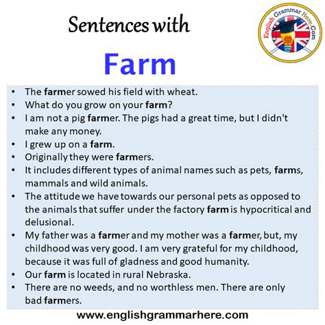 Sentences With Slash Slash In A Sentence In English Sentences For