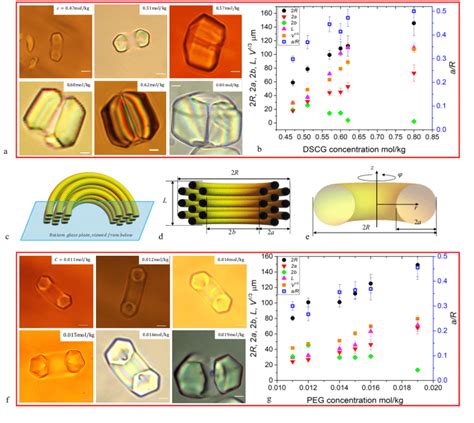 A Optical Microscopy Textures Of Half Toroids At Different