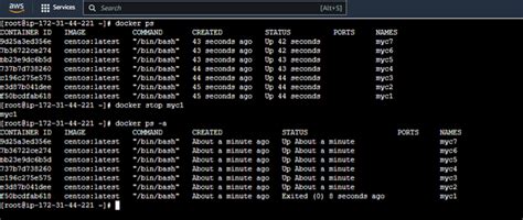 Docker Stop Command A Complete Tutorial Defnition Syntax Examples Geeksforgeeks