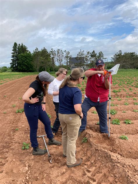 Local Watershed Groups Cooperating With Pei Potato Board On 2023 Blight