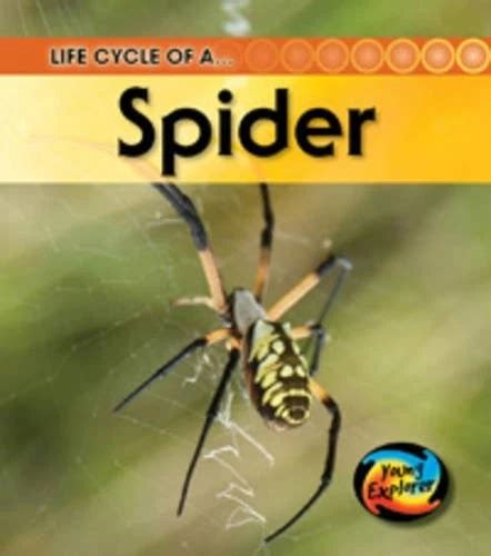 Life Cycle Of A Spider Life Cycles Ron Fridell Patricia Walsh £9 38