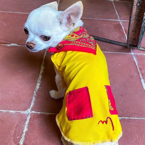 Refresco Jarochito Mercadolibre 📦