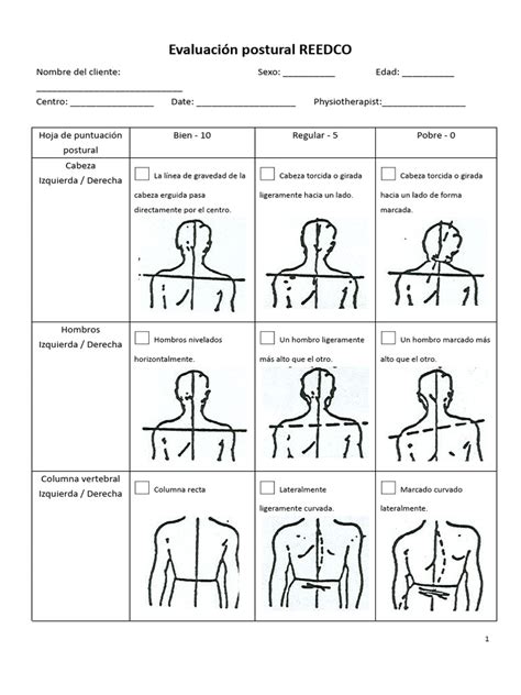 Evaluación De Postura Reedco Pdf La Columna Vertebral Anatomía Humana