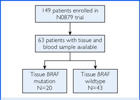 Diagram Of Patient Allocation Download Scientific Diagram