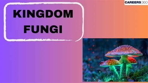 Kingdom Fungi Structure Characteristics Classification Classifications Concepts