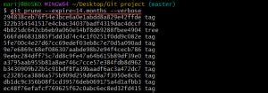 How To Use Git Prune PhoenixNAP KB