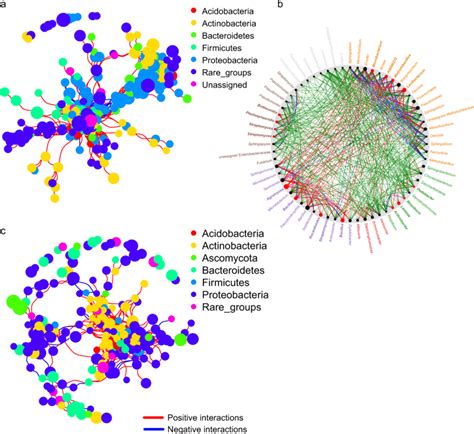 Visualization Of Microbial Community Co Occurrence Network Properties Download Scientific