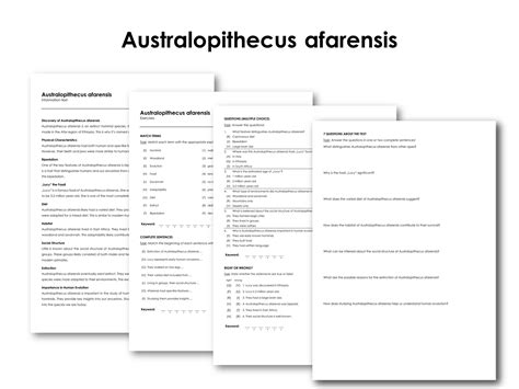 Australopithecus Afarensis By Nexusoflife On Deviantart