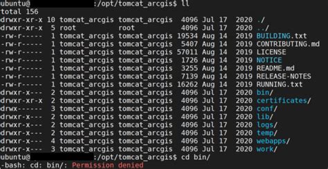 Monthly Linux Tip Setting Up Tomcat In An Esri Aws Ami
