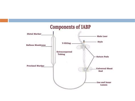 Iabp Intra Aortic Balloon Pump Pptx