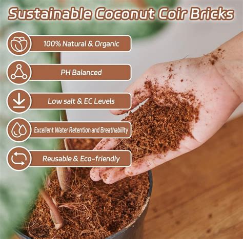 Coco Coir Brick Wild Worms Jesus Created