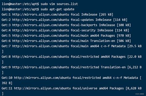 err 1 ubuntu focal inrelease could not resolve