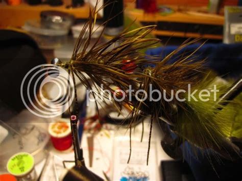 Gotta Stay Fly The Almighty Sex Dungeon