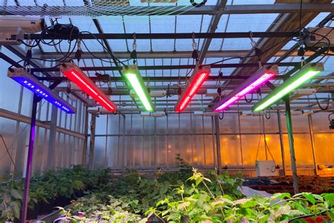 James Hutton Institute Joins Forces With Crocus Labs Hortimedia