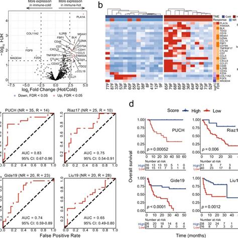 Prognostic Impact Of Gene Signature Derived From Tumor Microenvironment Download Scientific