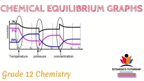 Chemical Equilibrium Graphs Interpretation Grade 12 Chemistry Youtube