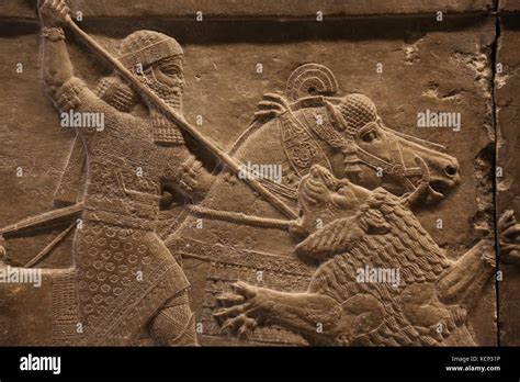 Ashurbanipal Hunting Lion Relief Neo Assyrians Palace Nineveh Irak