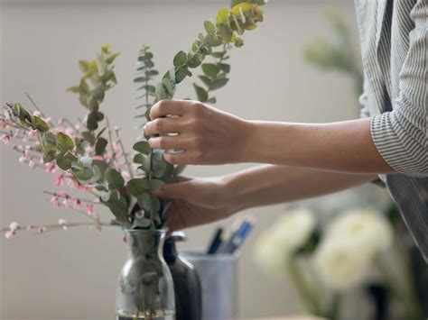 I 7 El Poder De Los Objetos Alejandra Ossa