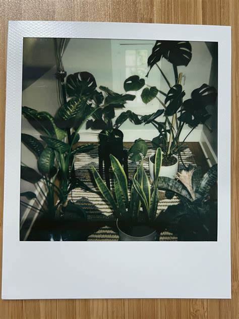 Help With Horizontal Dark Lines R Polaroid
