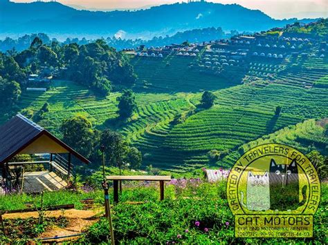 Explore The Best Of Mon Jam 13 Must See Attractions