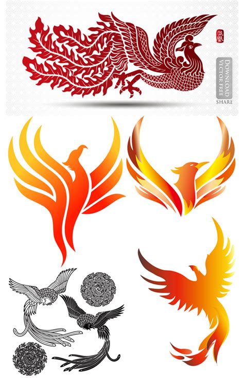 Mẫu Hình Họa Chim Phượng Hoàng Phoenix Vector 3865 ~ Mrpixelvn Chia
