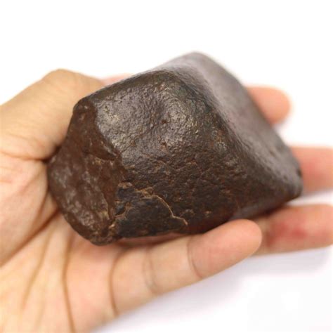 400 Grams Chondrite Meteorite Found In The Sahara Desert Morocco Nwa