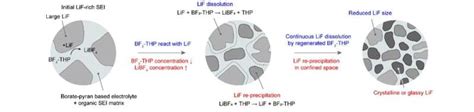 A Borate Pyran Based Electrolyte That Minimizes Corrosion In Li Metal