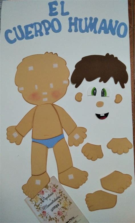 Cuerpo Humano Y Sus Partes Partes Del Cuerpo Preescolar Actividades