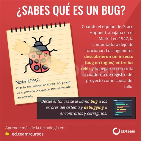 🐞 ¿qué Es Un Bug Edteam
